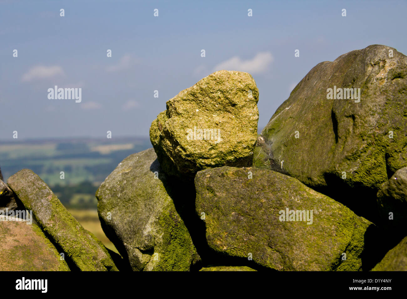 An old gritstone wall takes on a sculptural look after years buffeted ...