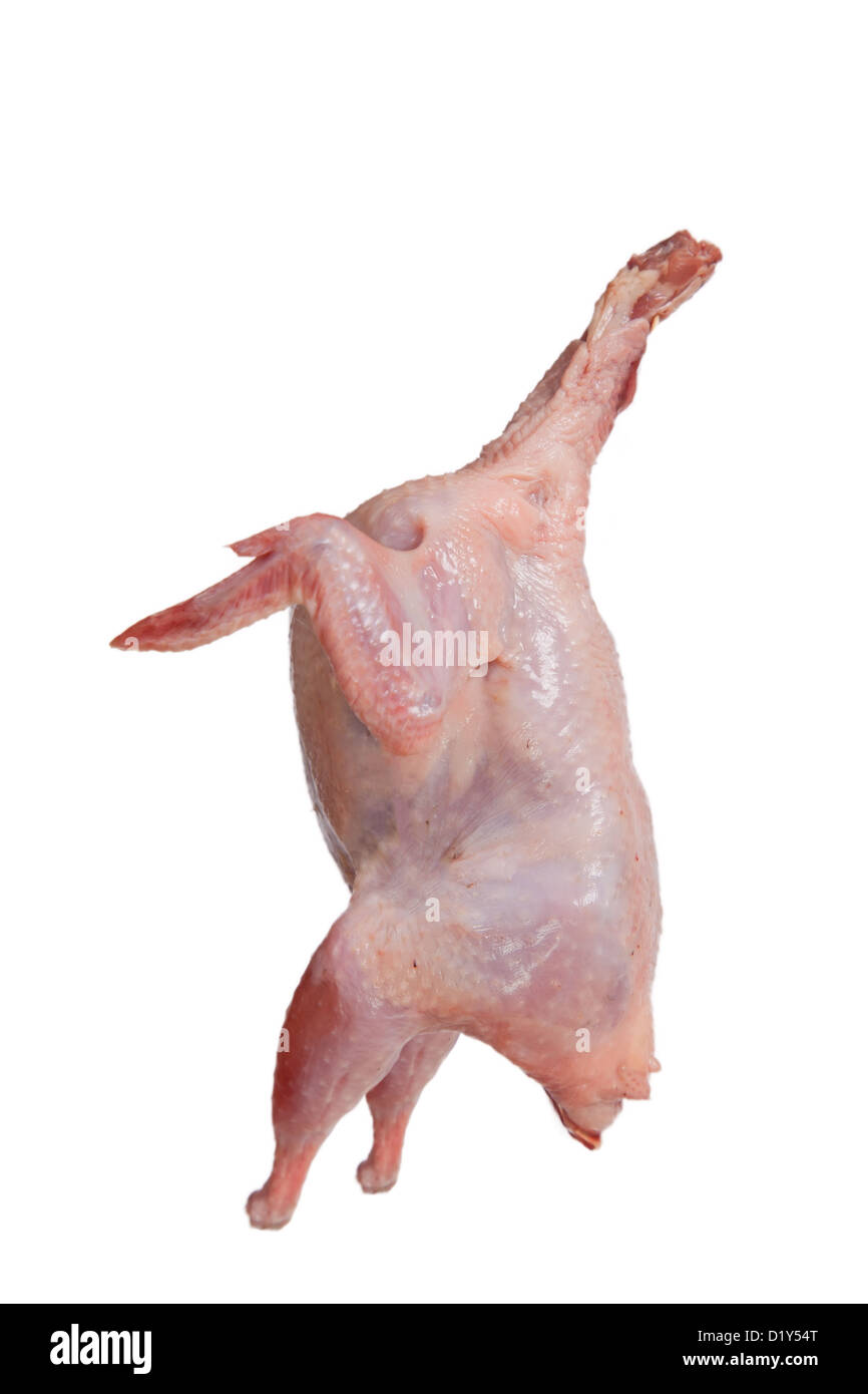 Partridge Meat