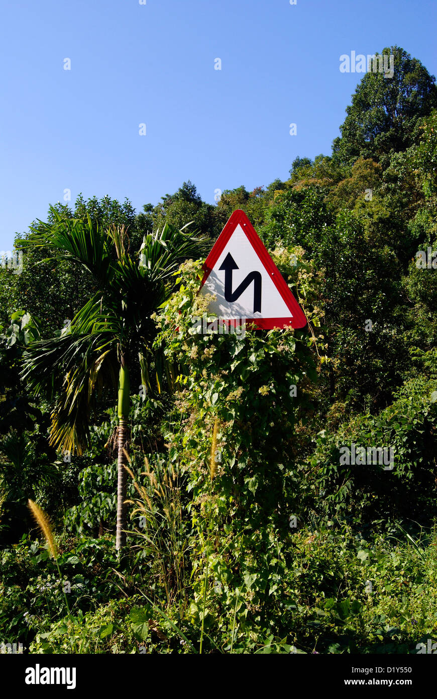 Funny arrow sign signpost on Roadside Stock Photo - Alamy