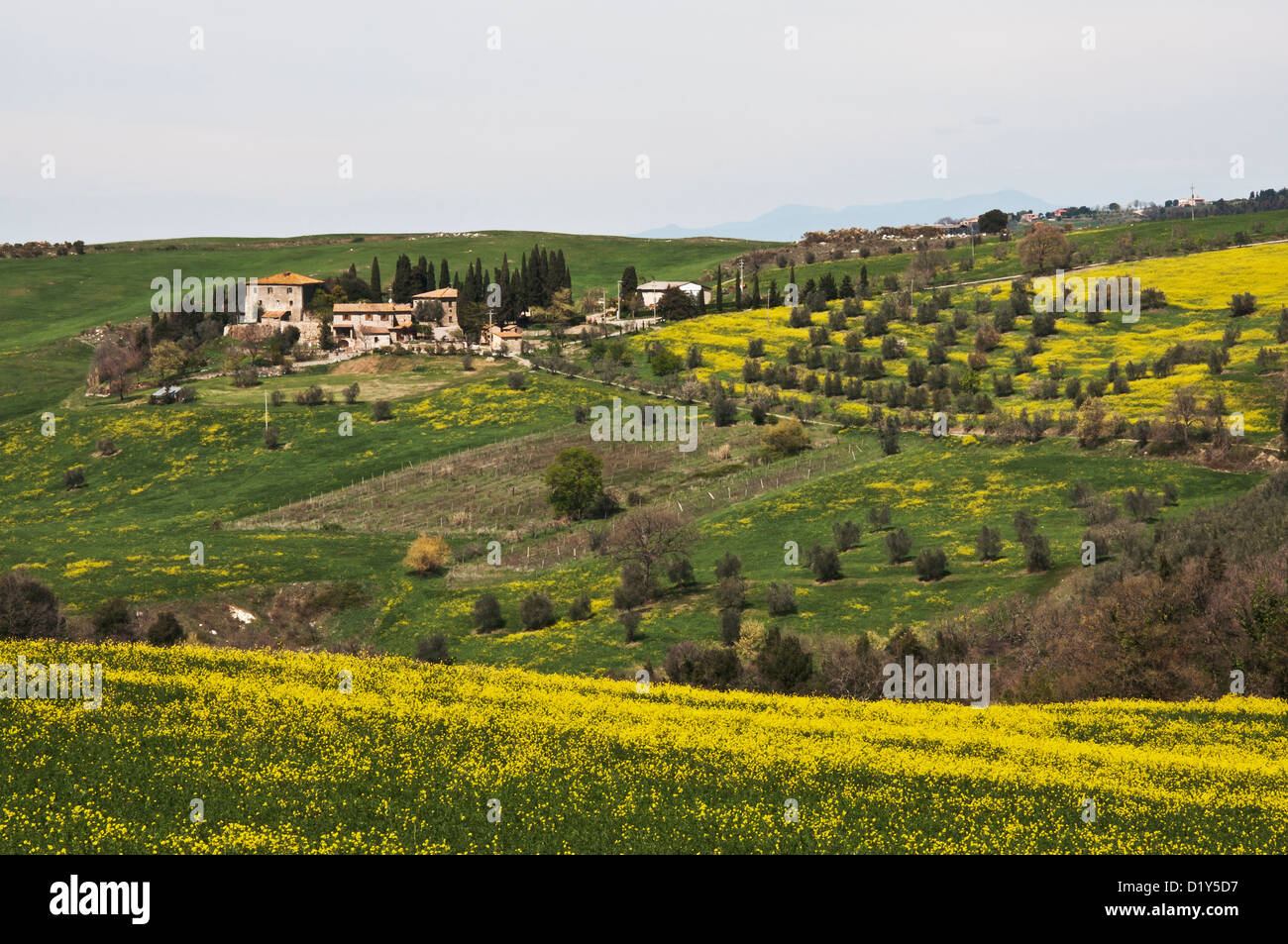 farmland and countryside in Chianti, Tuscany, Italy Stock Photo - Alamy