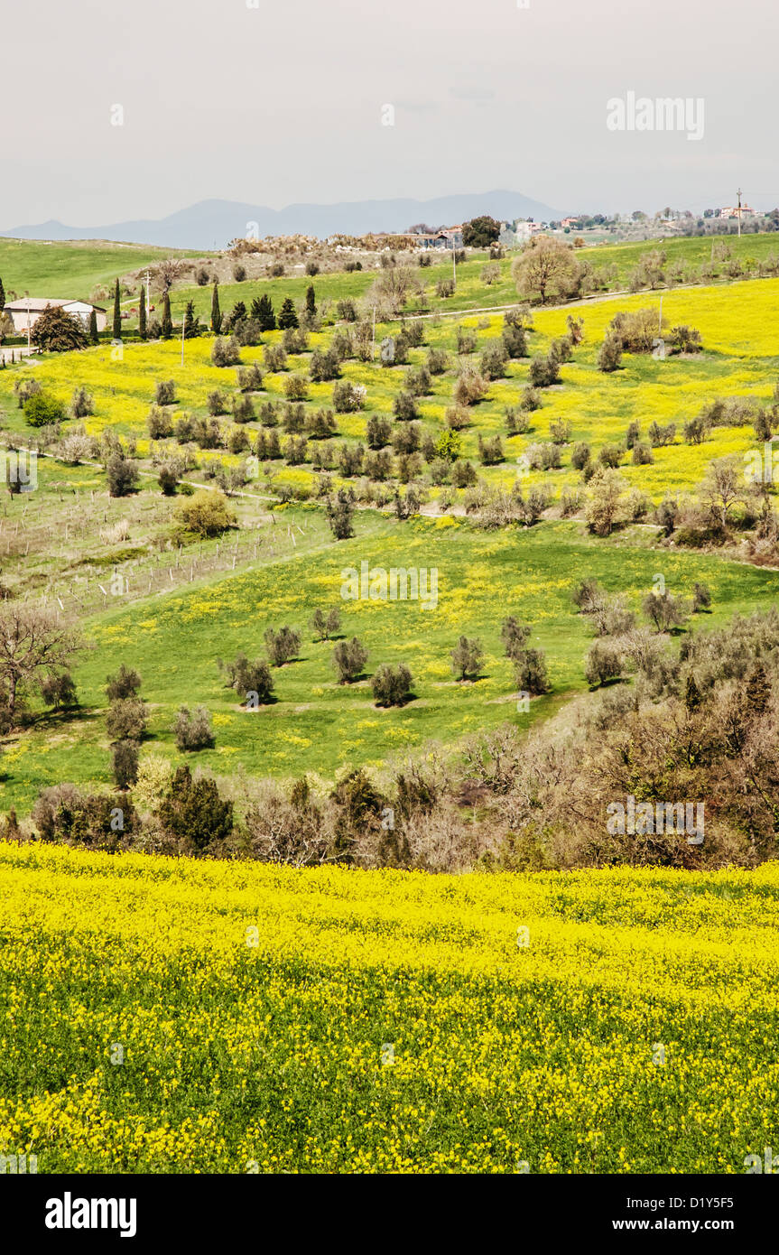 farmland and countryside in Chianti, Tuscany, Italy Stock Photo - Alamy