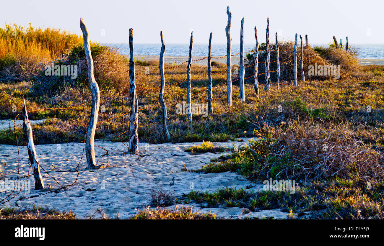 Wire fence at seaside hi-res stock photography and images - Alamy