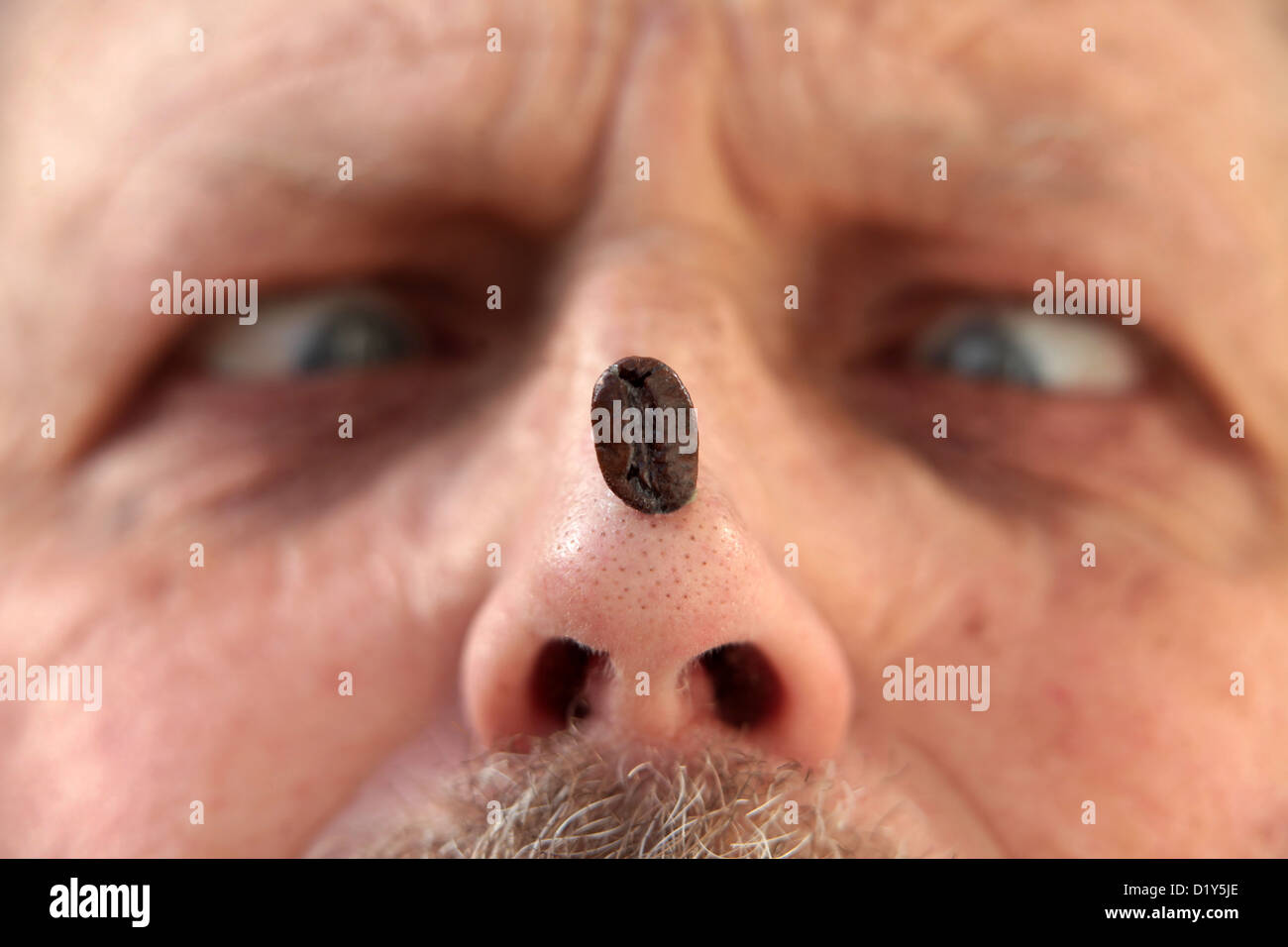 Balanced on nose hi-res stock photography and images - Alamy