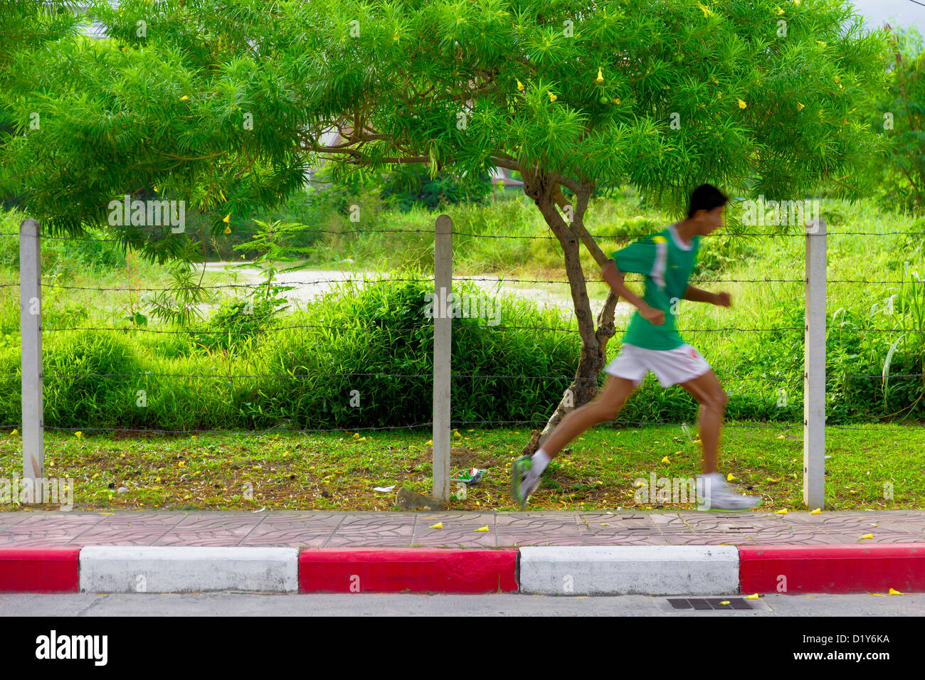 A runner speeds past a tree and wire fence during a late afternoon run ...
