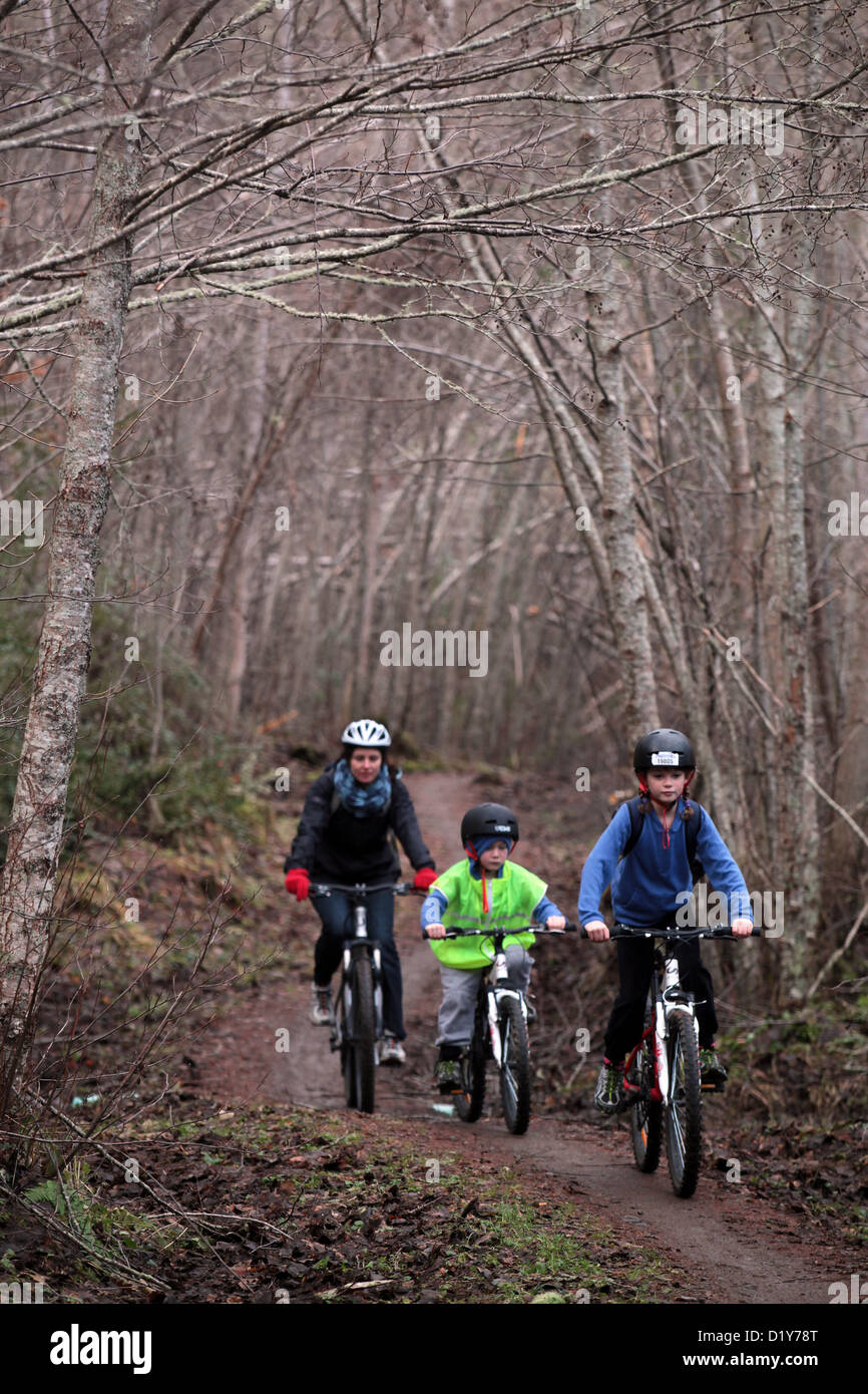 Hanmer forest hi-res stock photography and images - Alamy