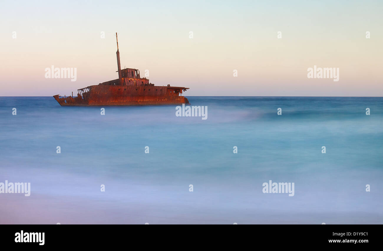 Sygna High Resolution Stock Photography and Images - Alamy