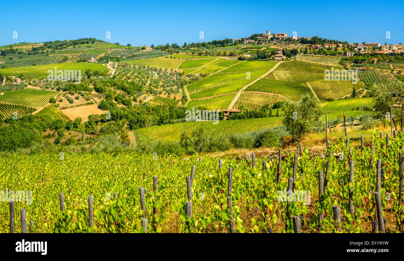Hill Of Tuscany With Vineyard In The Chianti Region Stock Photo - Alamy