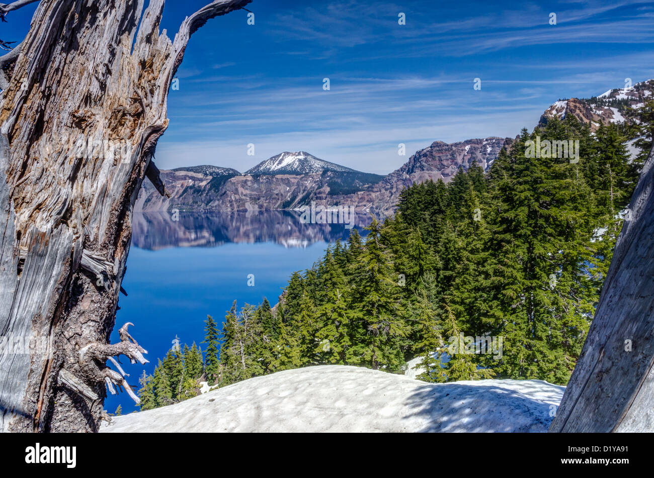 A dead tree stump frames Crater Lake at Crater Lake National Park Stock ...