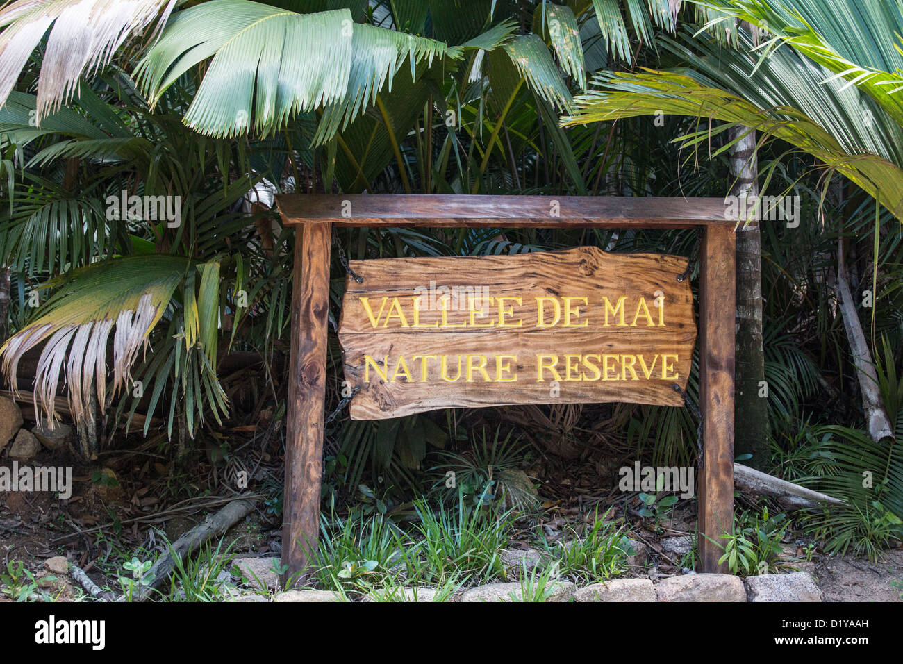 Vallee de Mai Nature Reserve, Praslin Island, Seychelles Stock Photo ...