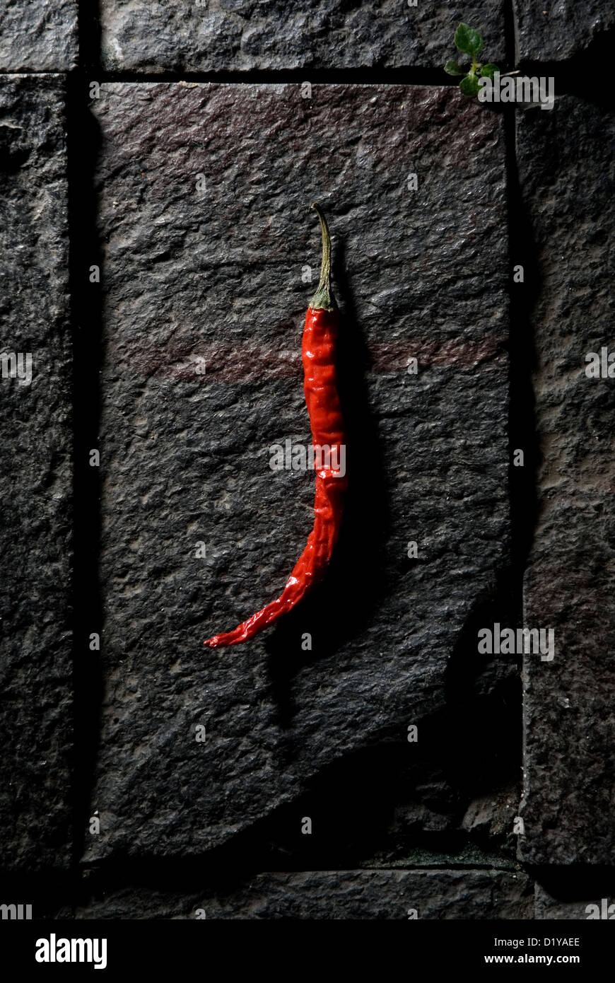 Red chili art hi-res stock photography and images - Alamy