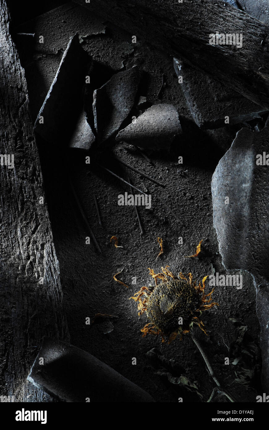 Conceptual and symbolic represent spirit in every situation hi-res ...