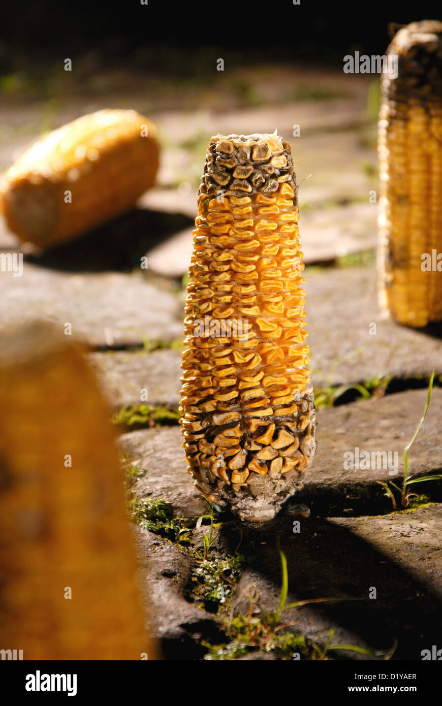 That represent determination hi-res stock photography and images - Alamy