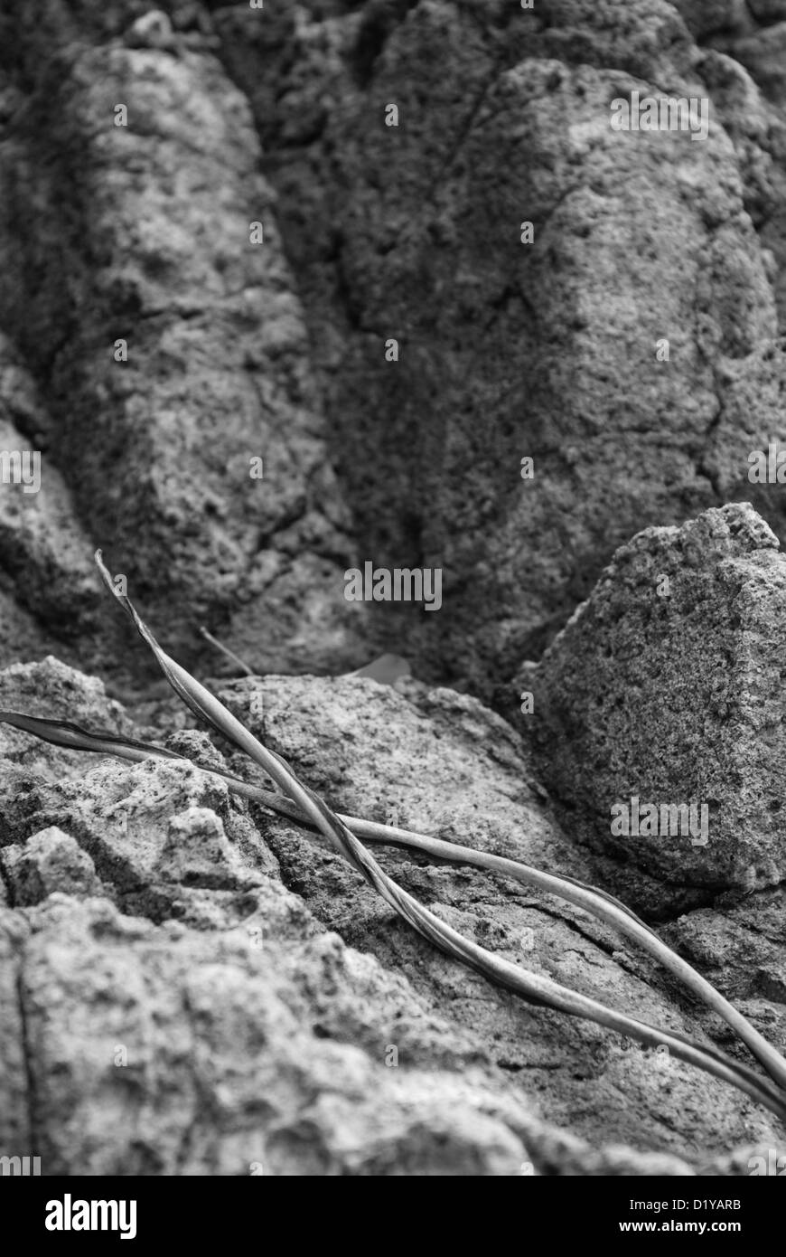 Be strong images Black and White Stock Photos & Images - Alamy