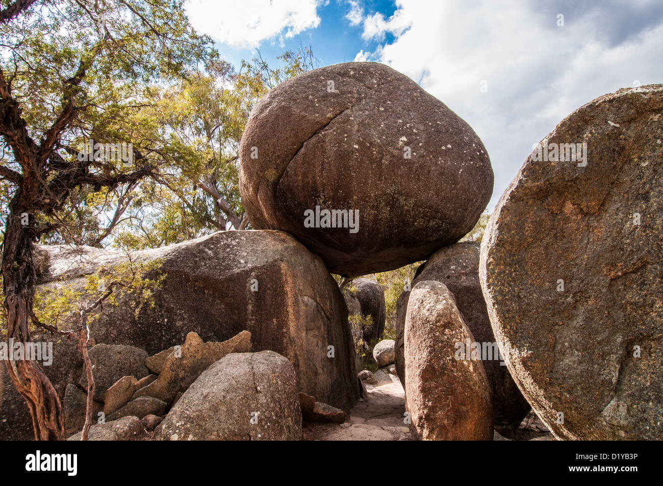 Girraween national park queensland hi-res stock photography and images ...