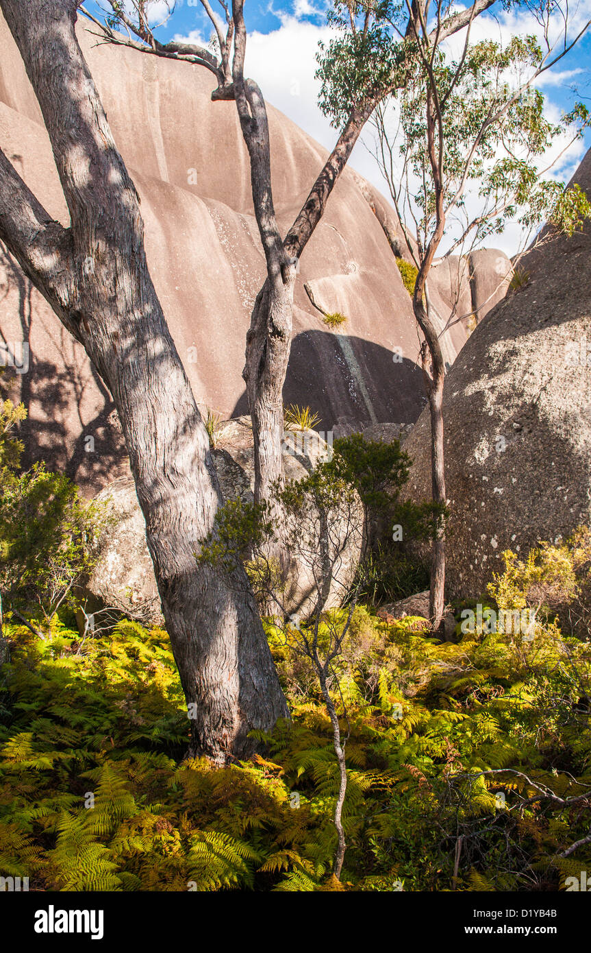 Mt. Norman, Girraween National Park, Queensland, Australia Stock Photo ...