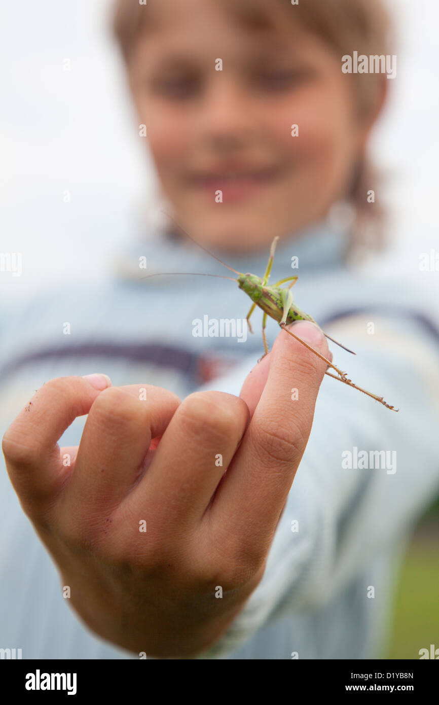 Animal chil hi-res stock photography and images - Alamy