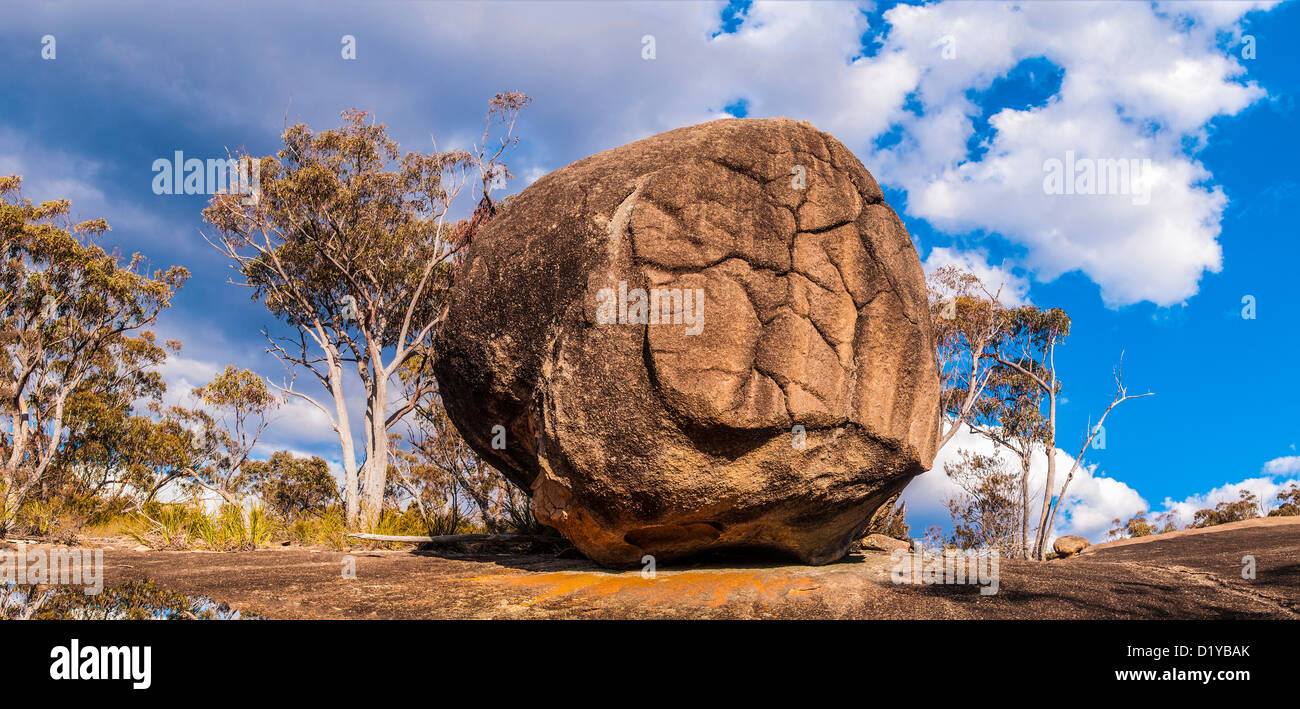 Granite boulders on the Mt. Norman track, Girraween National Park ...