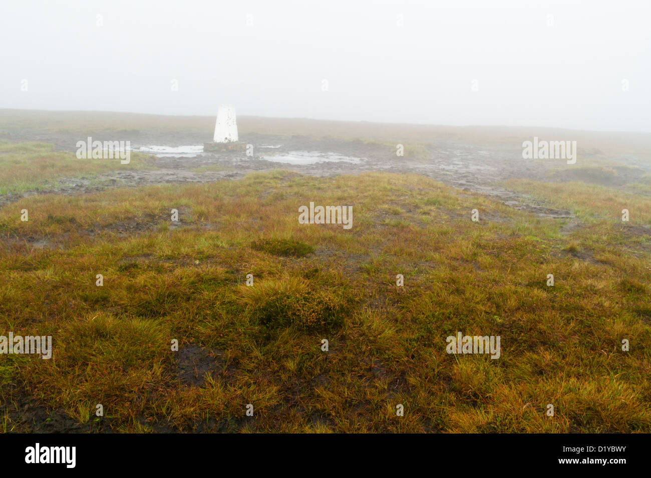Triangulation point, pillar or trig point showing through the thick fog ...