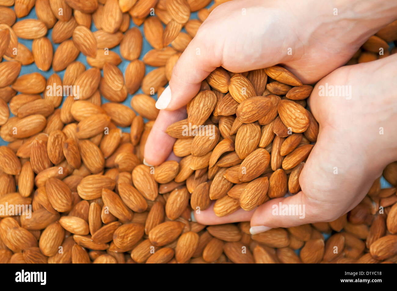 Almonds' fall from woman's hands Stock Photo - Alamy