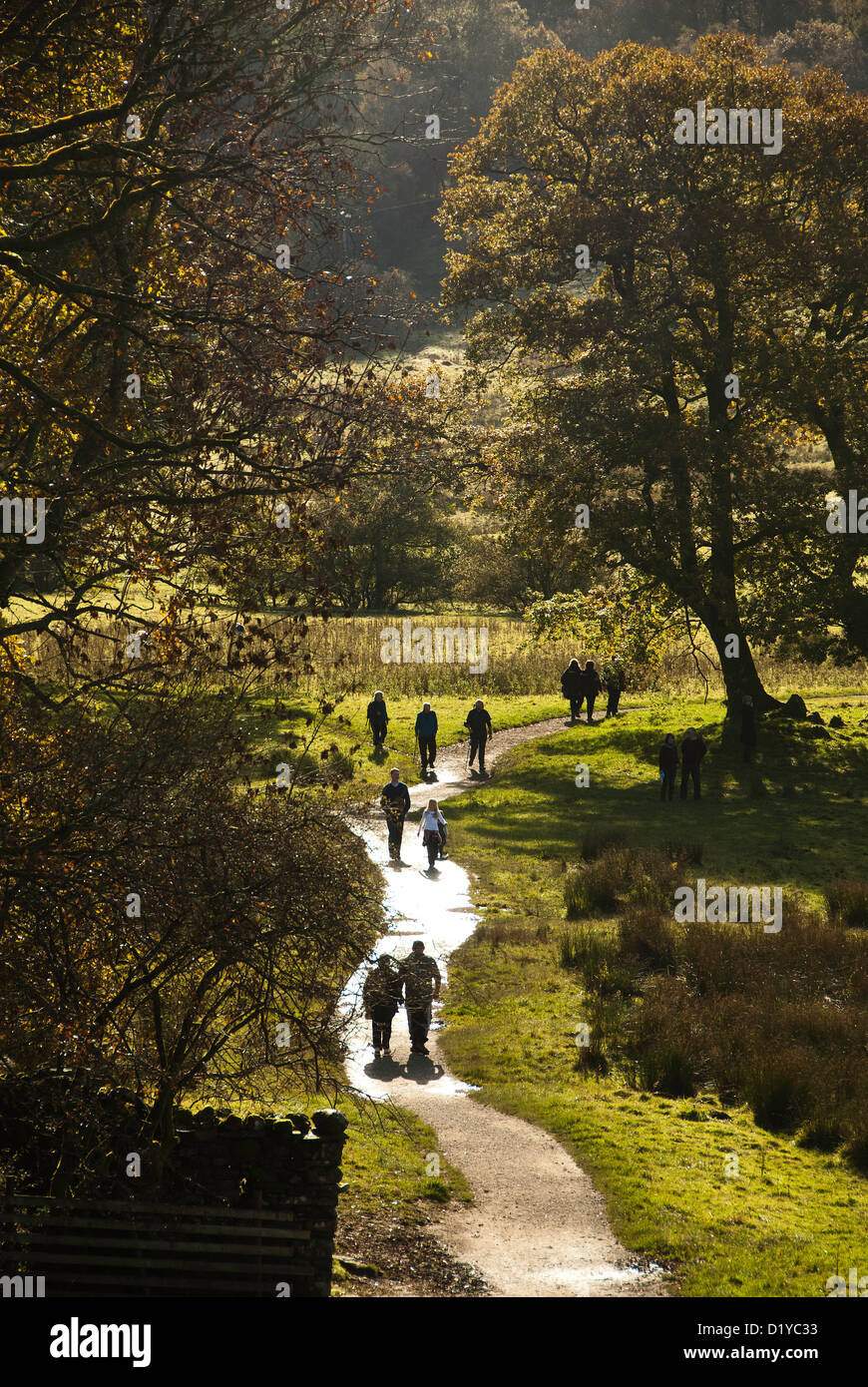 Walkers on path near Elterwater Stock Photo - Alamy
