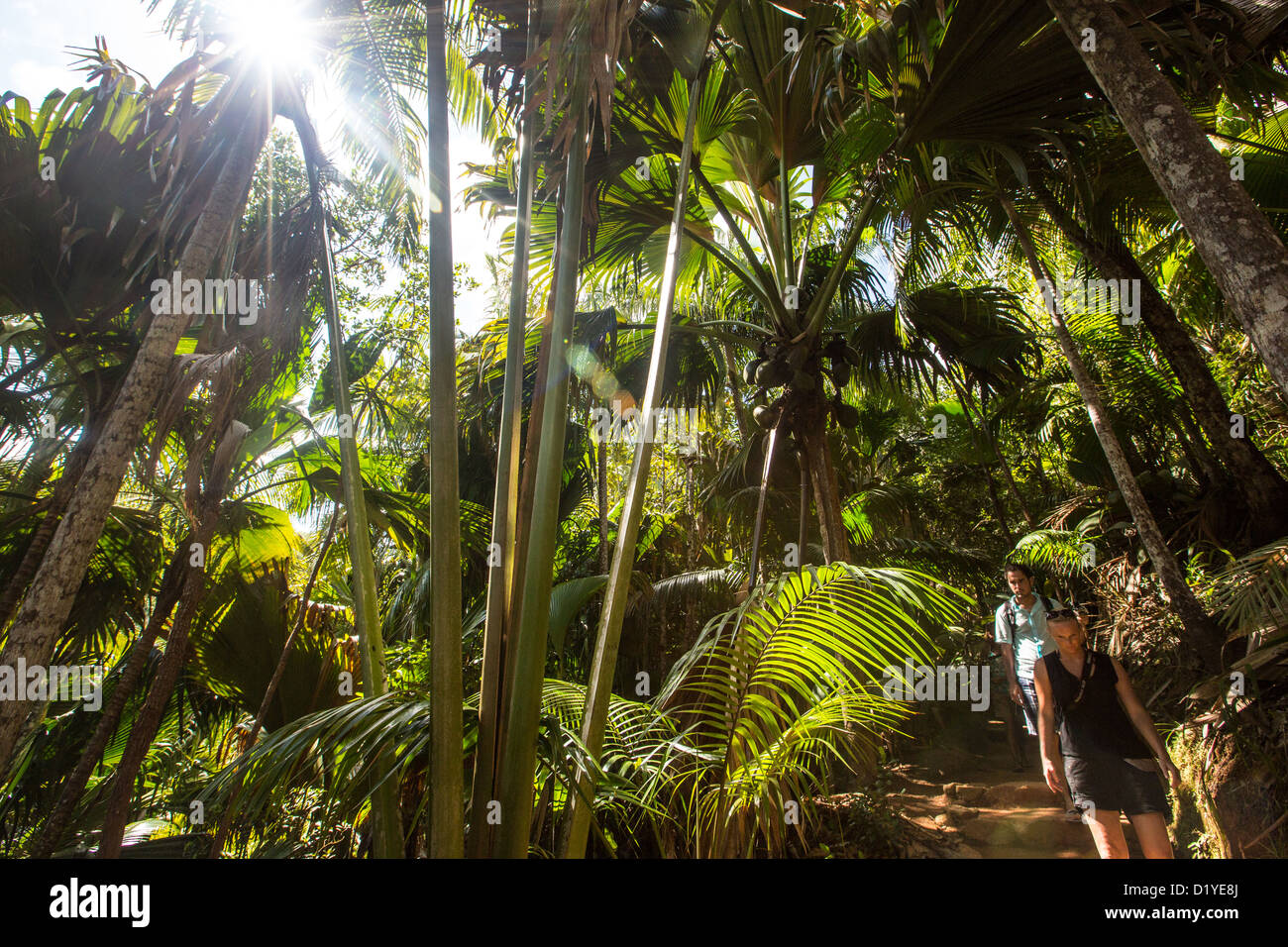 Tourists visiting Vallee de Mai Nature Reserve, Praslin Island ...