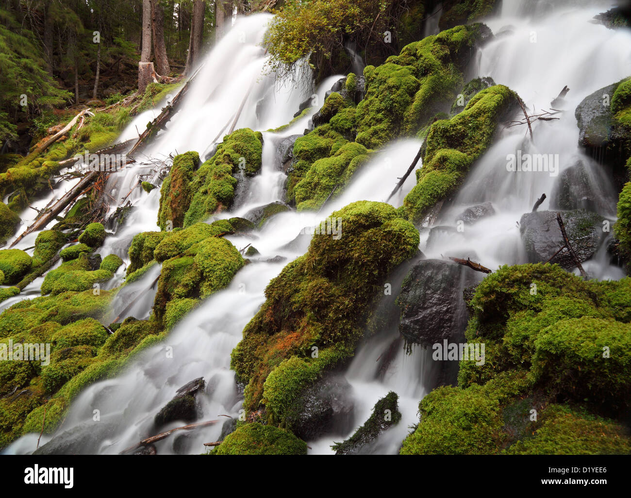 Umpqua river valley hi-res stock photography and images - Alamy