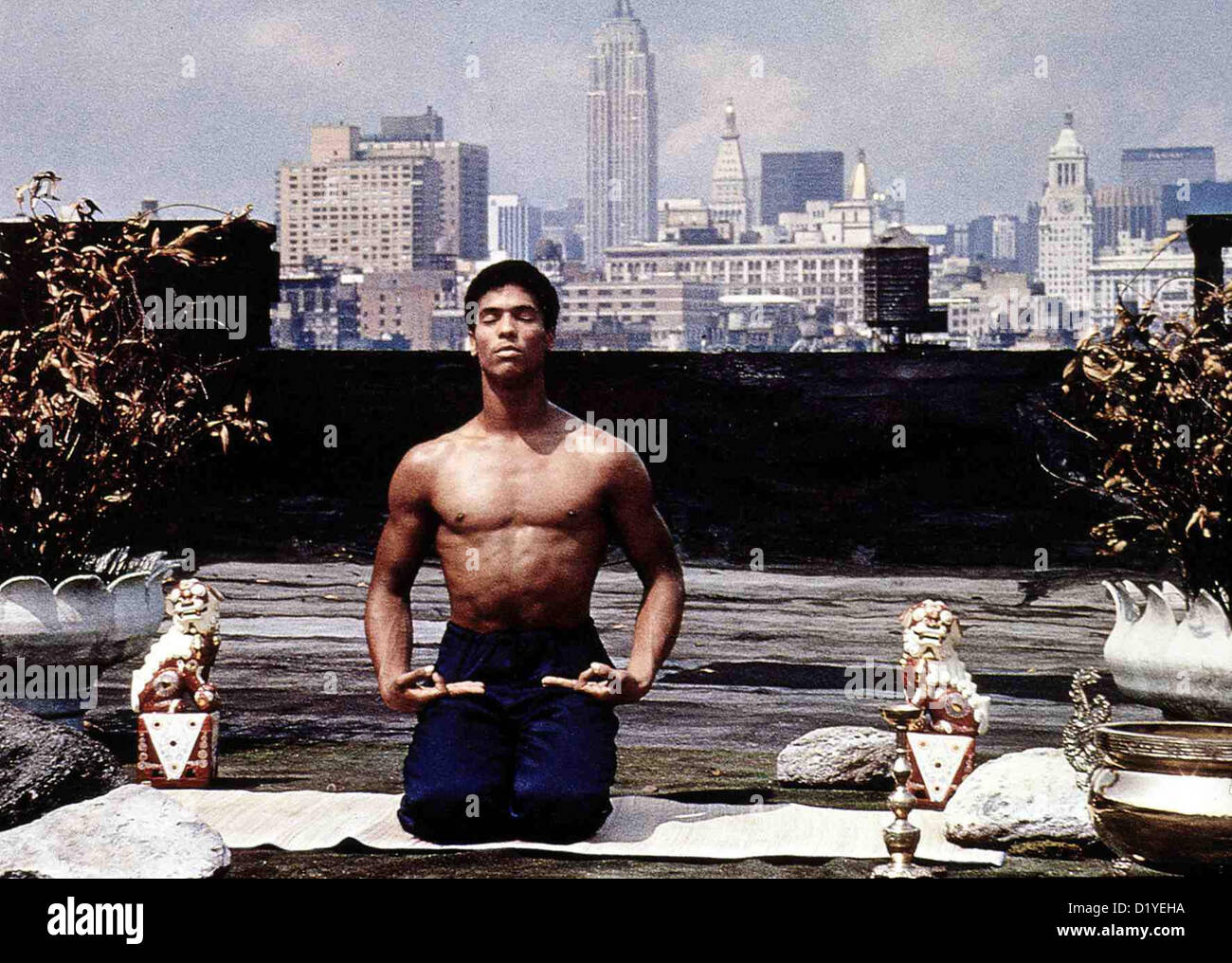 Der Tanz Des Drachen Last Dragon, Taimak Der junge Leroy (Taimak ...