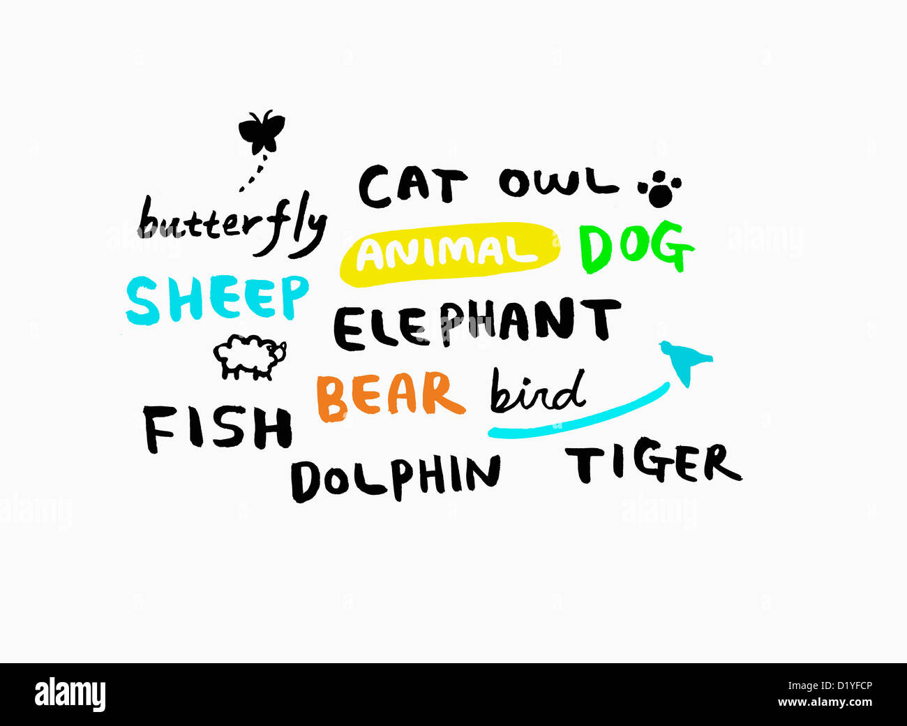 animals written in different fonts and colours Stock Photo - Alamy