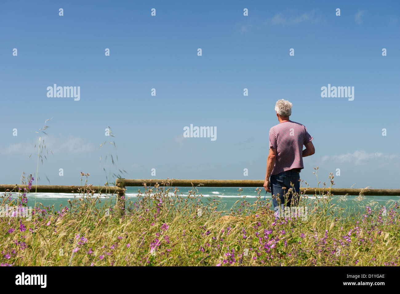 man in landscape looking at the sea Stock Photo - Alamy