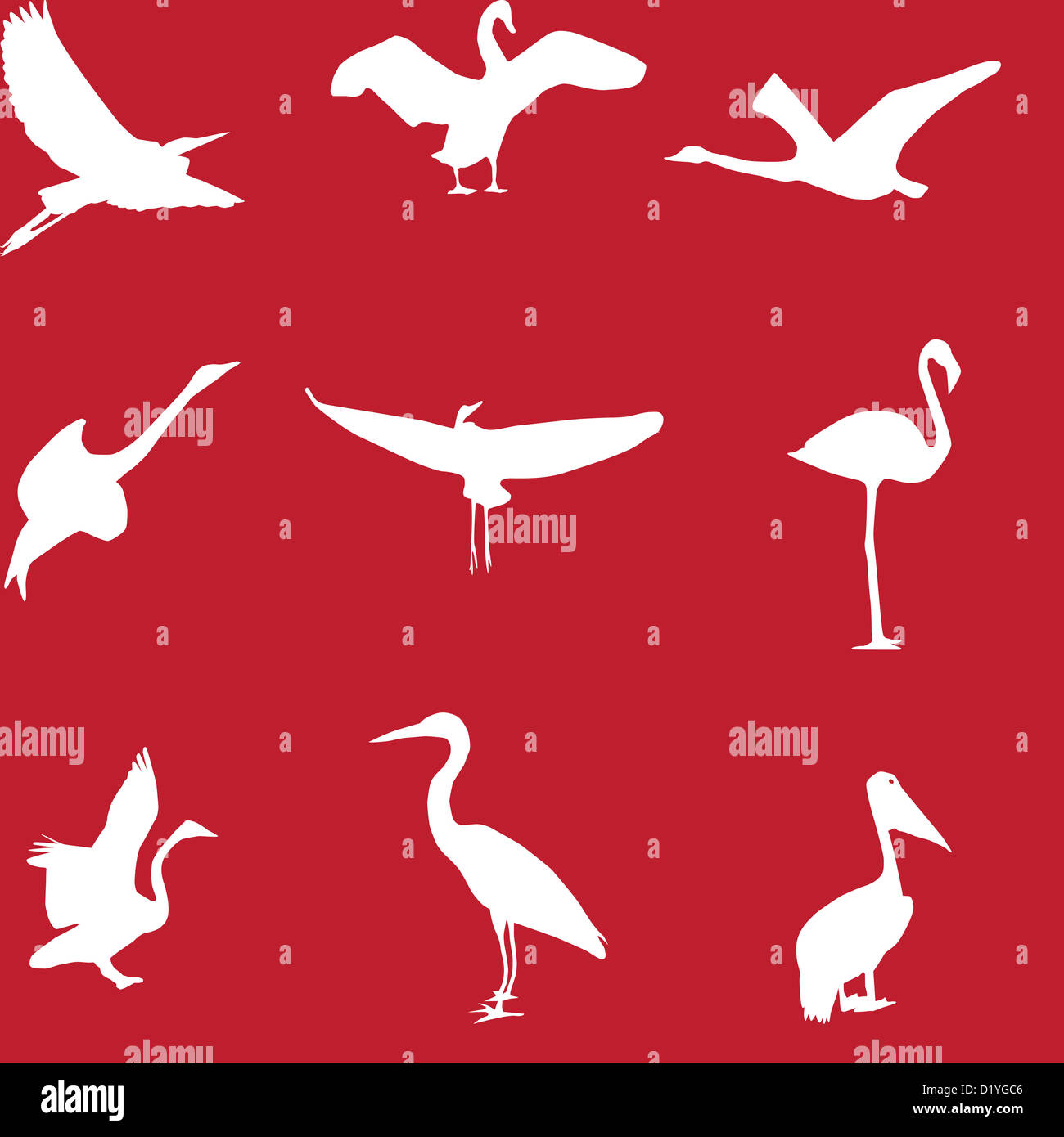 Set of different photographs of birds seamless pattern. Vector ...