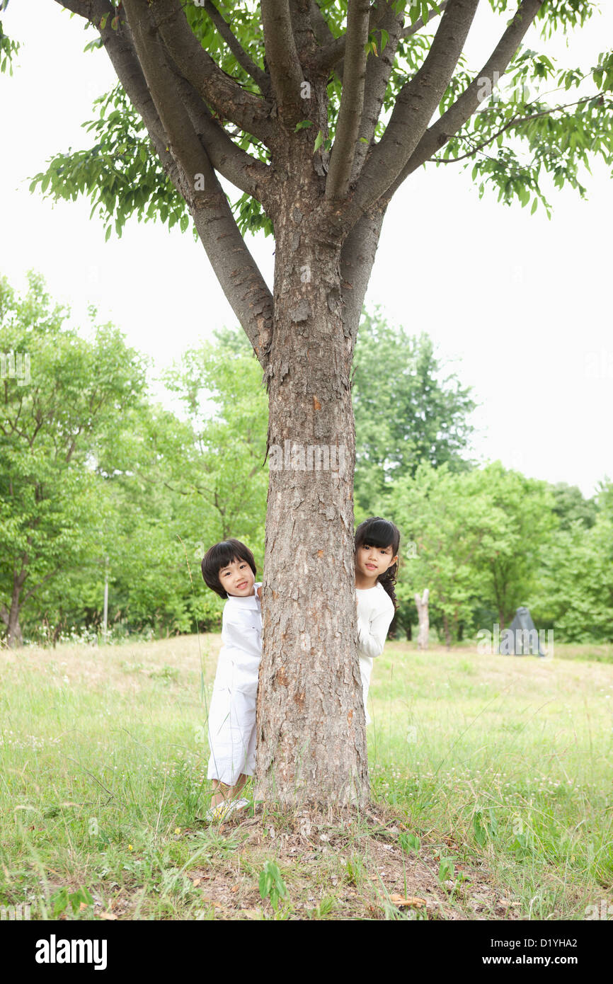 kids standing behind a tree Stock Photo - Alamy