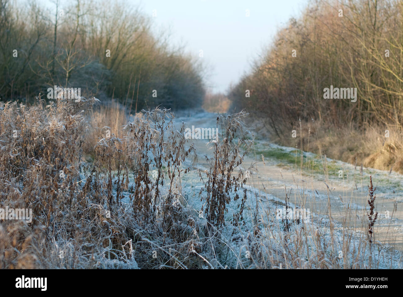 Winter on the Five Pits Trail in Derbyshire Stock Photo - Alamy