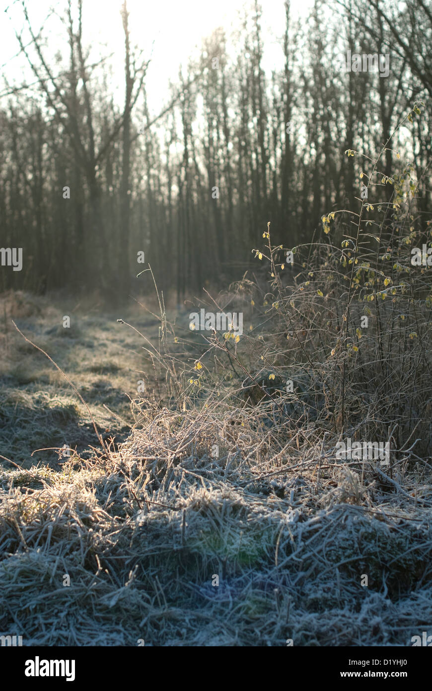 Winter on the Five Pits Trail in Derbyshire Stock Photo - Alamy