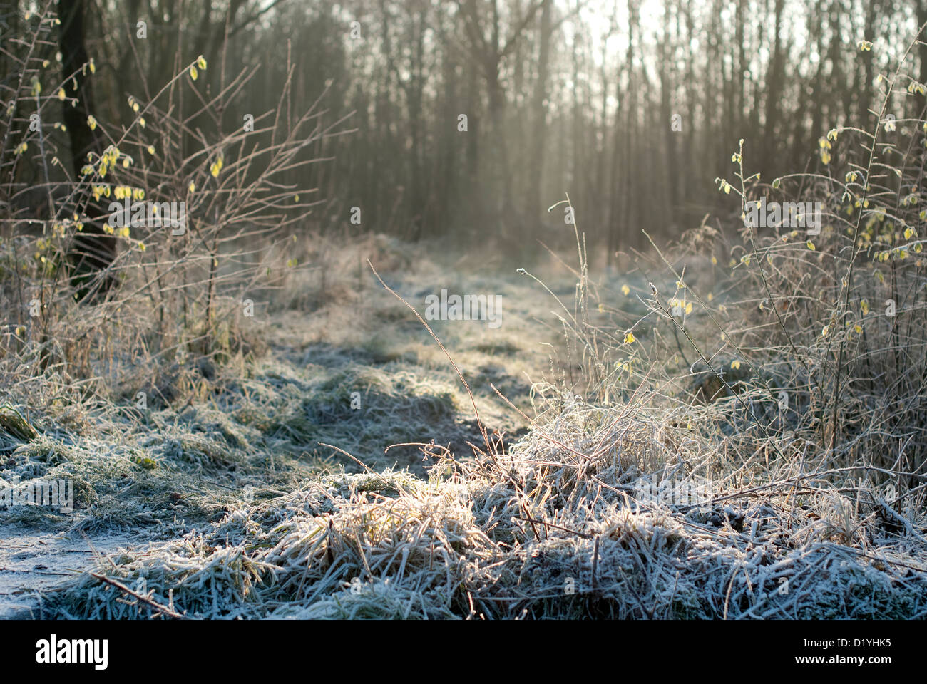 Five pits trail derbyshire hi-res stock photography and images - Alamy