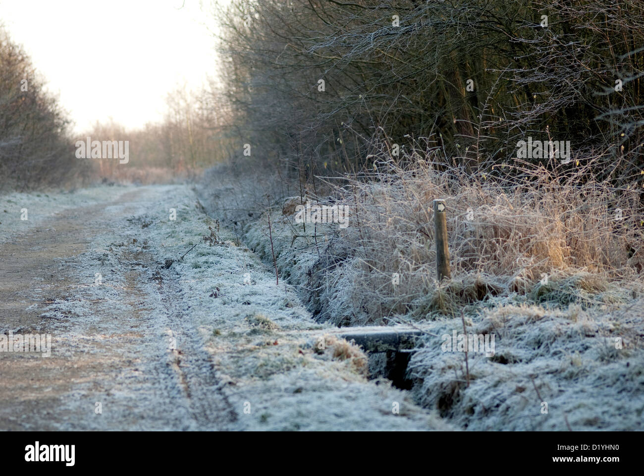 Winter on the Five Pits Trail in Derbyshire Stock Photo - Alamy