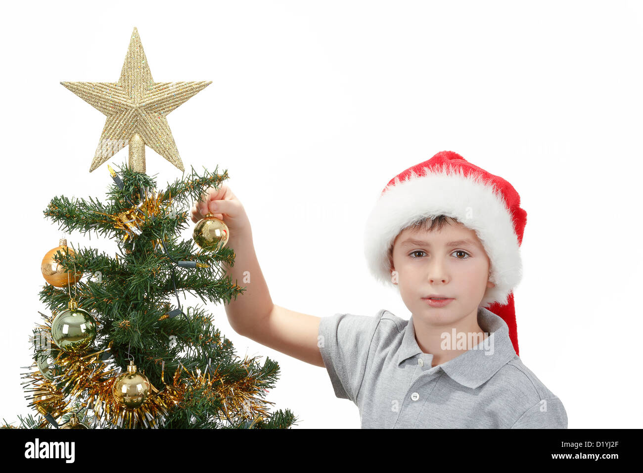 Boy with santa hat decorates the Christmas tree on white background ...