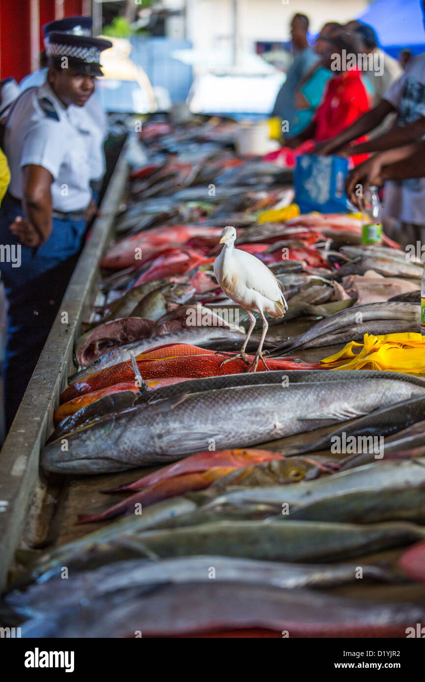 Victoria seychelles market hi-res stock photography and images - Alamy