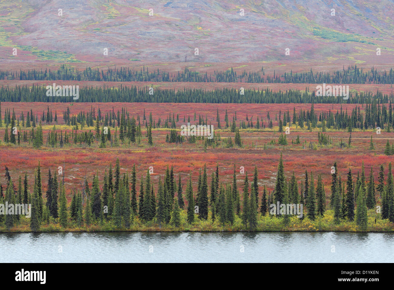 Landscape in autumn, Alaska Stock Photo - Alamy