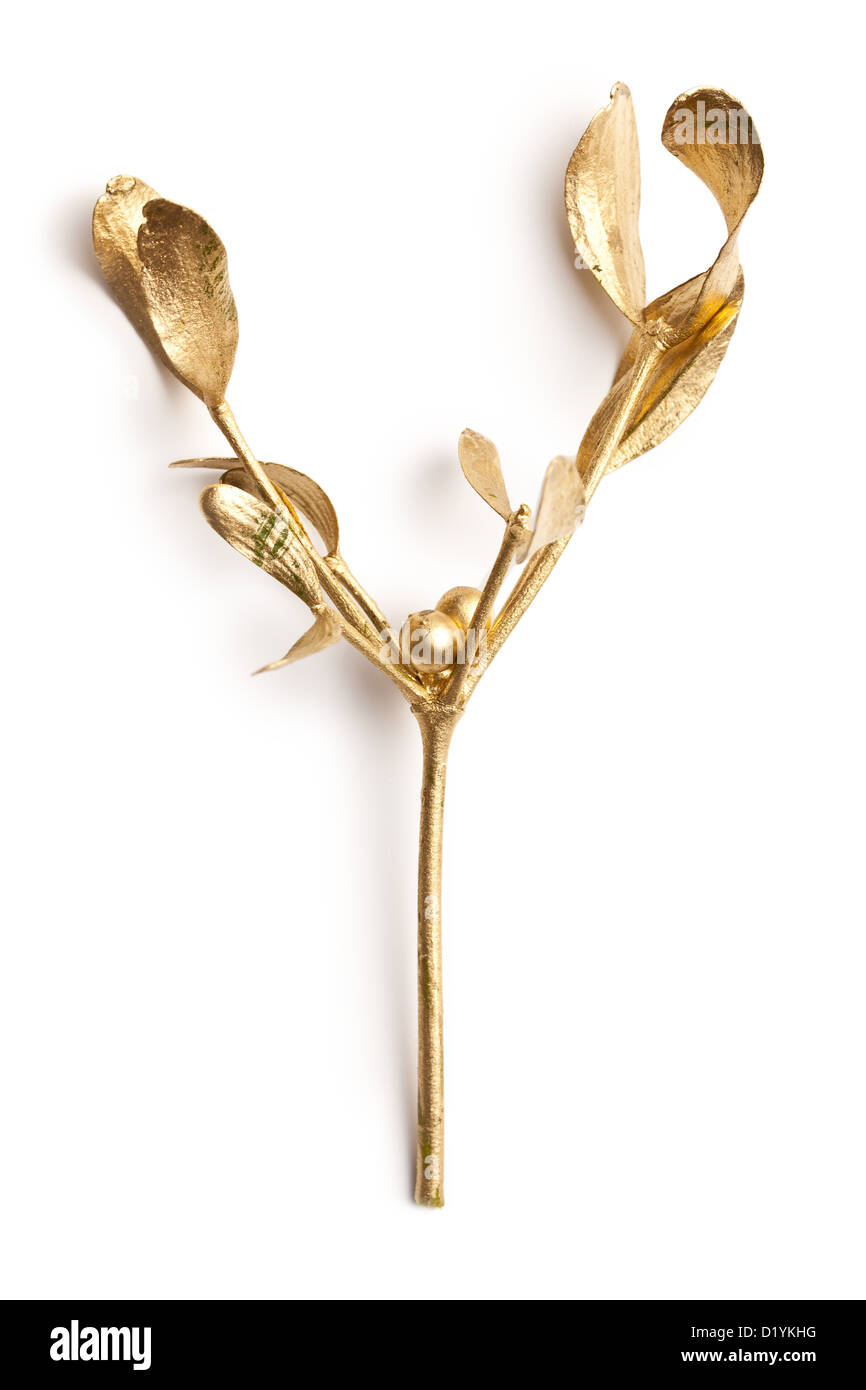 Mistletoe tree winter Cut Out Stock Images & Pictures - Alamy