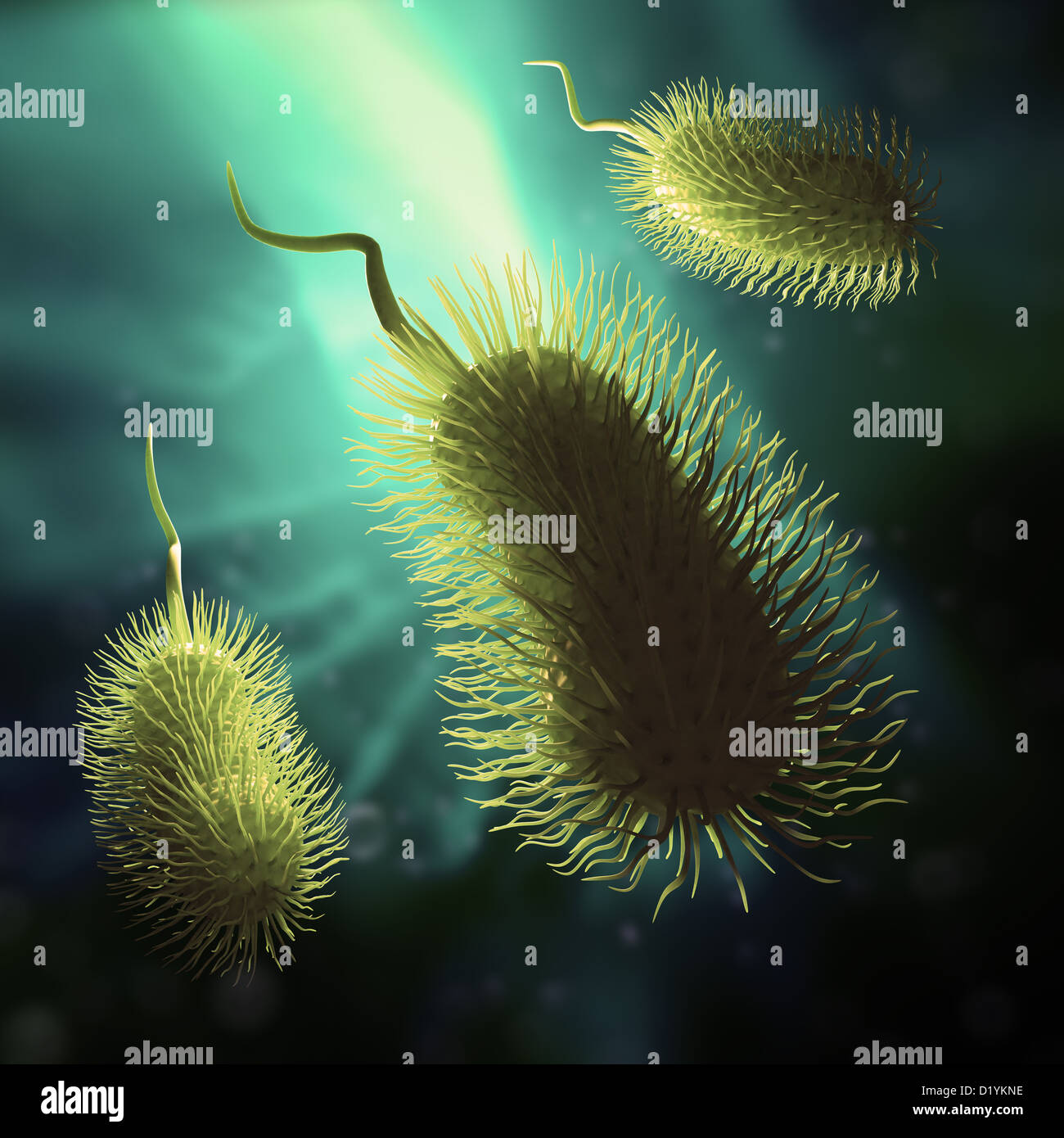Scientific illustration of a bacteria - 3d rendered image Stock Photo ...
