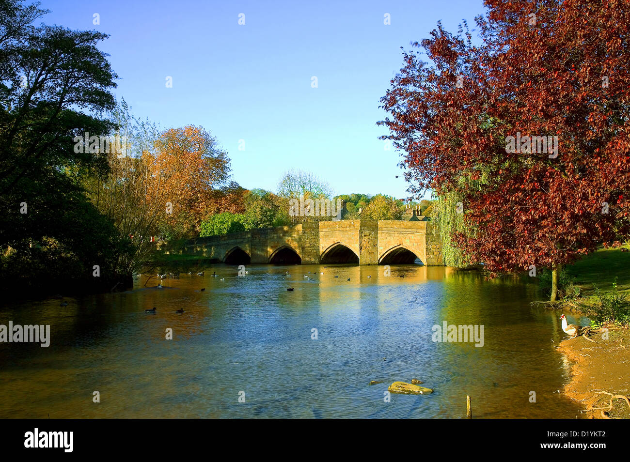 Bakewell Bridge Derbyshire Peak DIstrict Autumn Stock Photo - Alamy