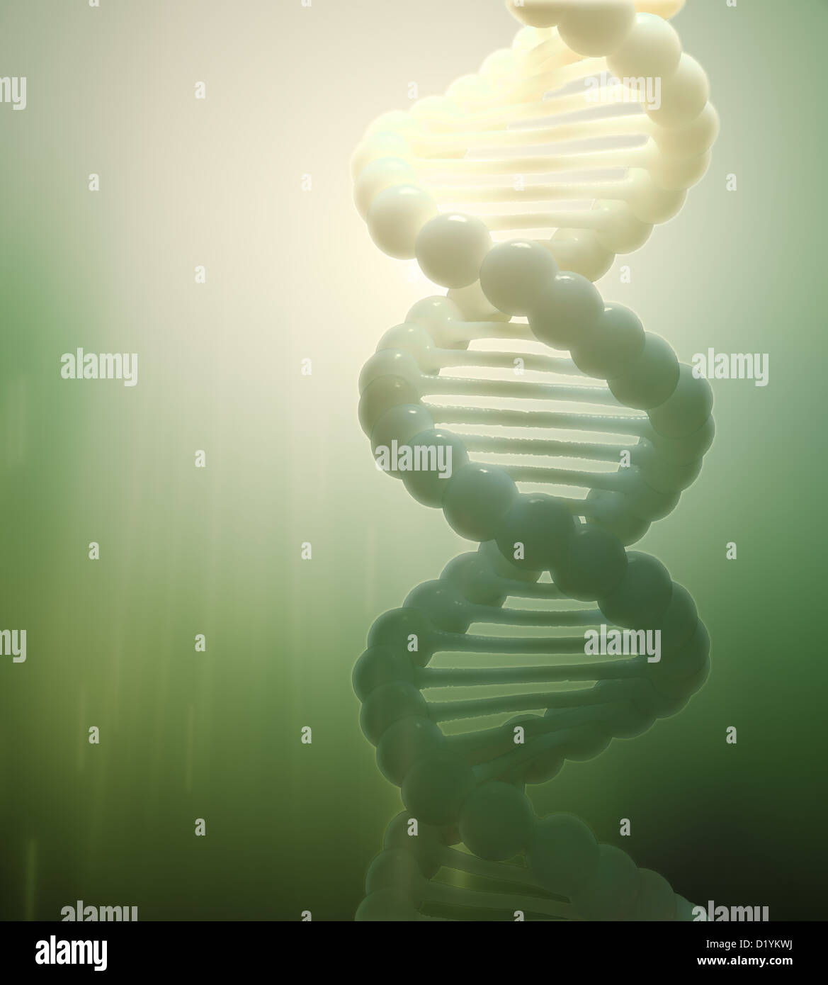 Conceptual DNA strand model - genetics concept Stock Photo - Alamy