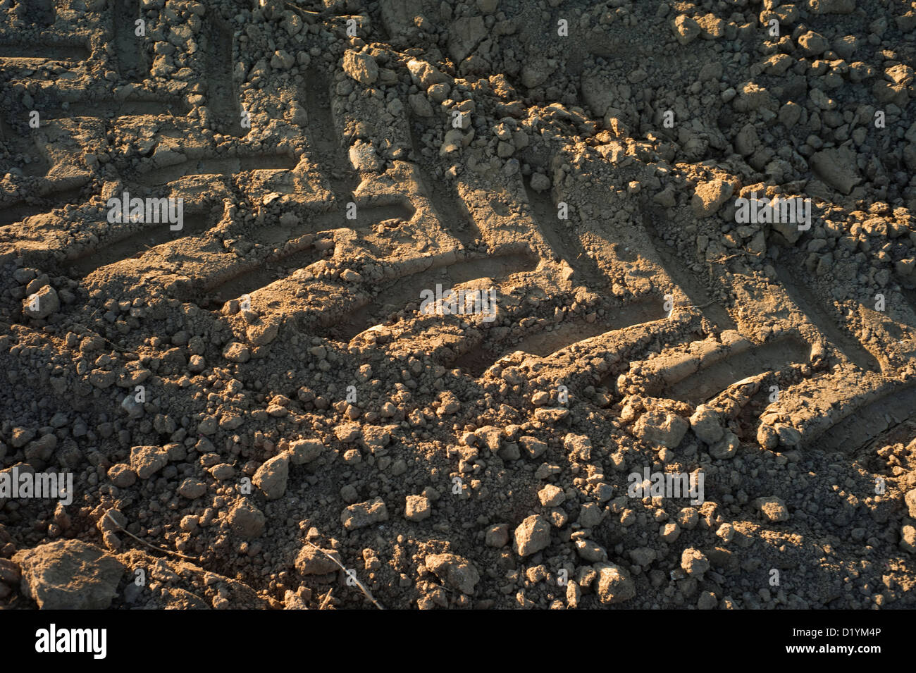 Tractor tracks in dry earth Stock Photo - Alamy