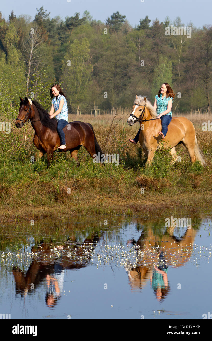 Haflinger Horse and Arbab-mix. Two young women riding at the edge of a ...