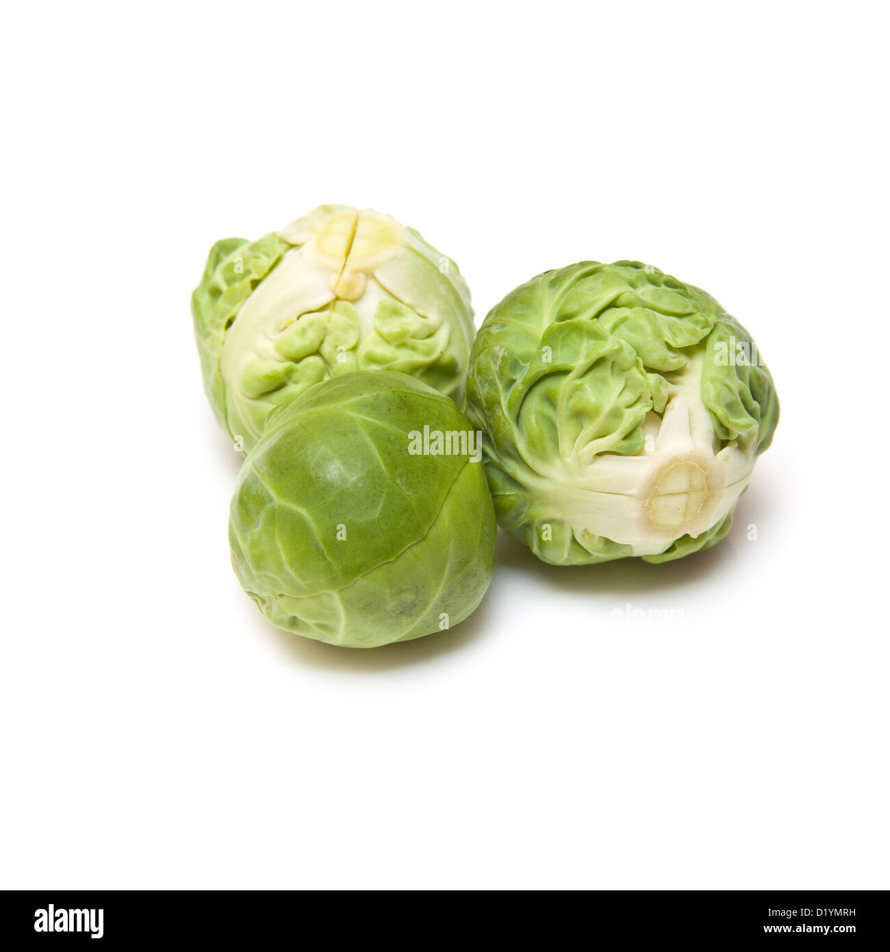 Brussel sprouts isolated on a white studio background Stock Photo - Alamy