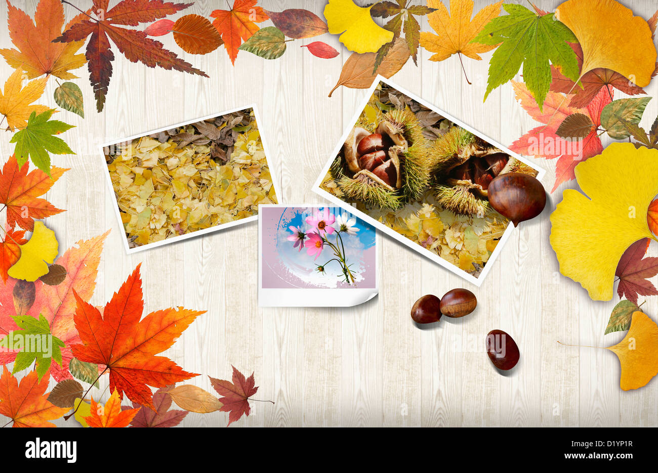 pictures of autumn in autumn leaves frame Stock Photo - Alamy