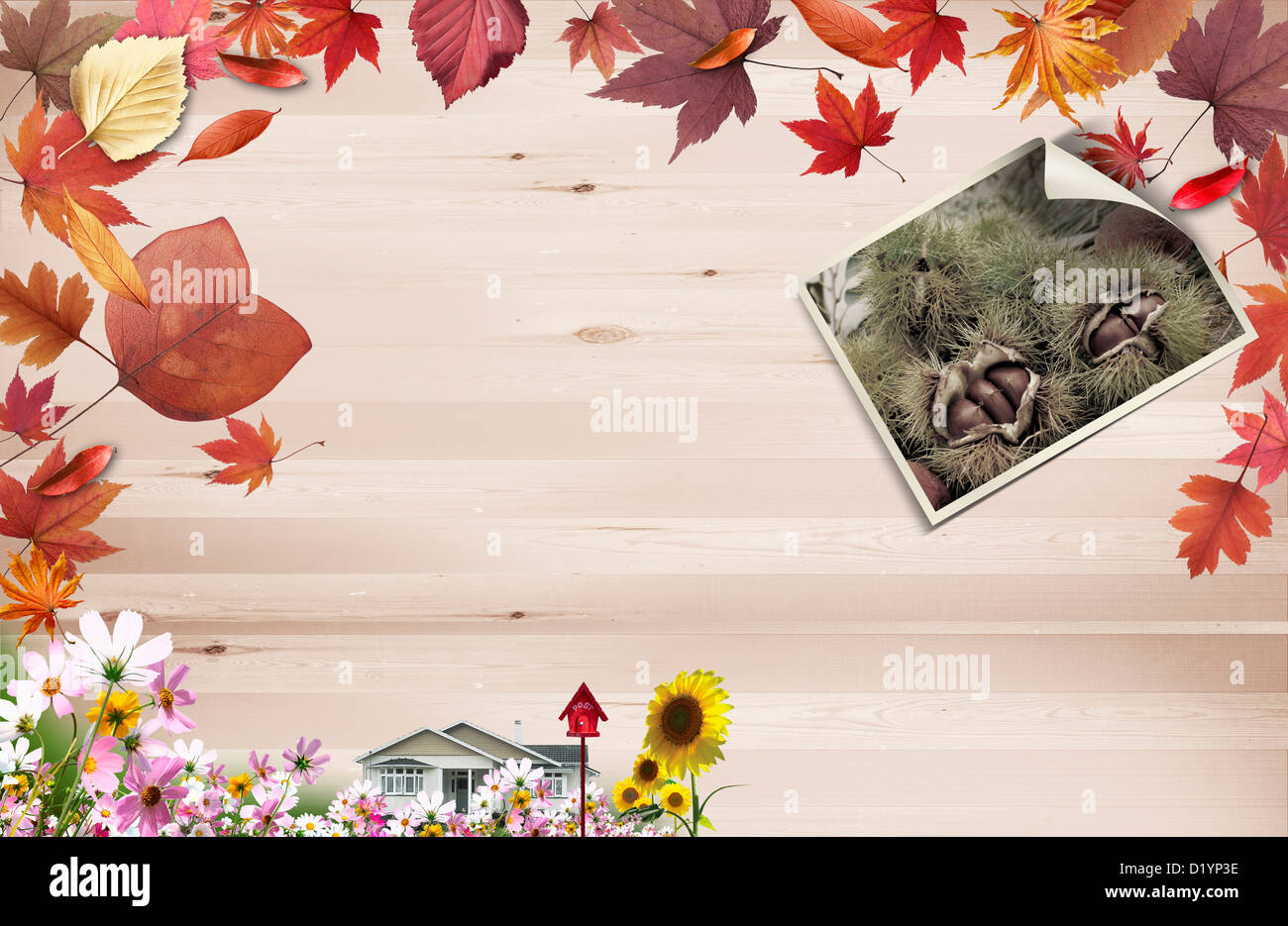 a picture of autumn in frame of autumn leaves Stock Photo - Alamy