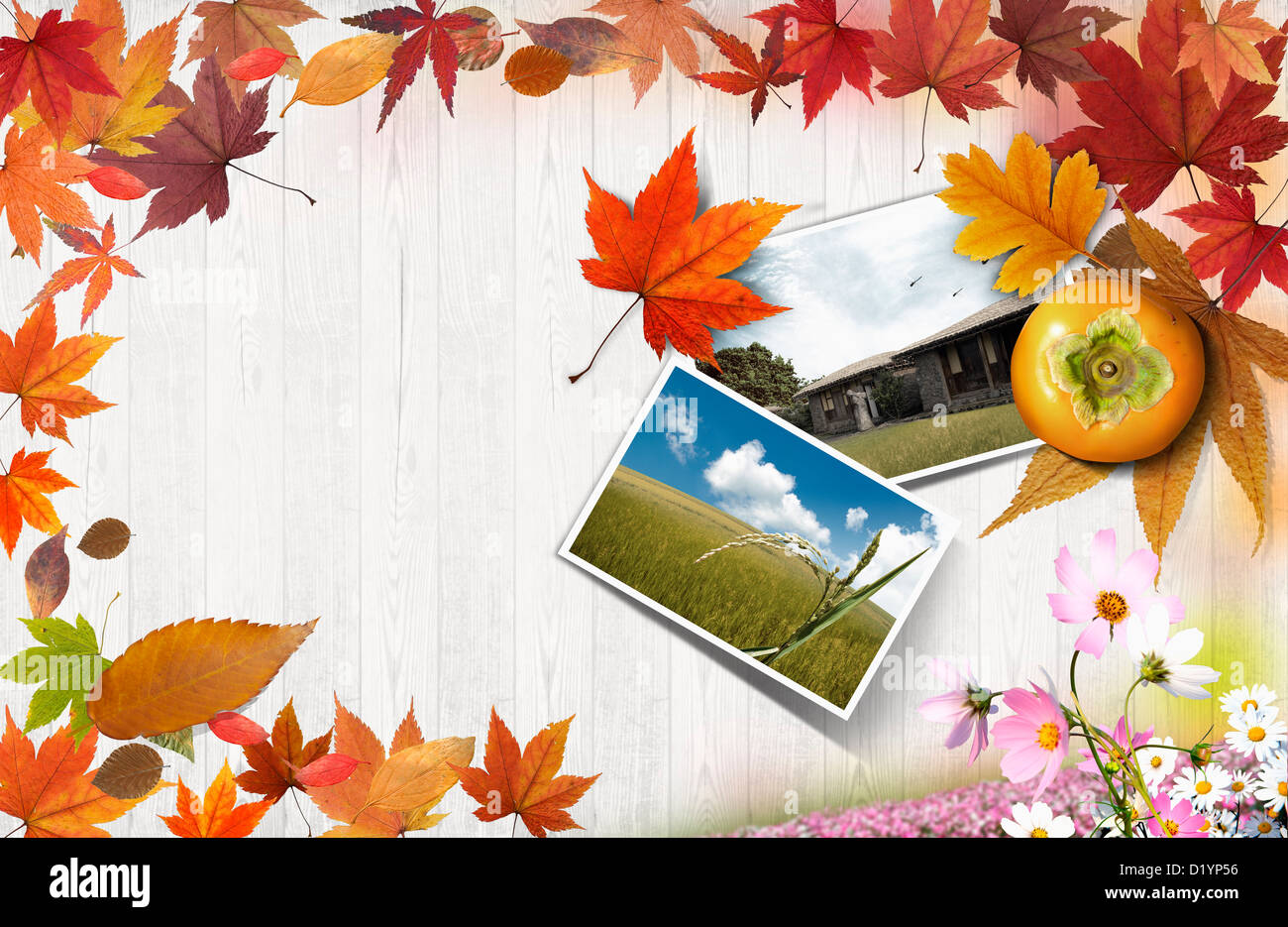 pictures of autumn atmosphere on a wooden plank surrounded by autumn ...