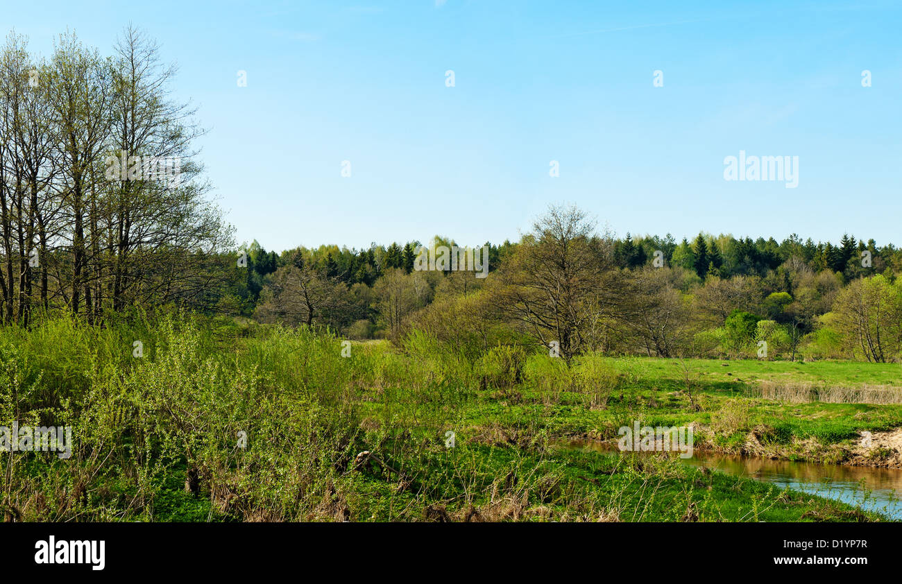 Typical East Europe landscape in May. Belarus Stock Photo - Alamy