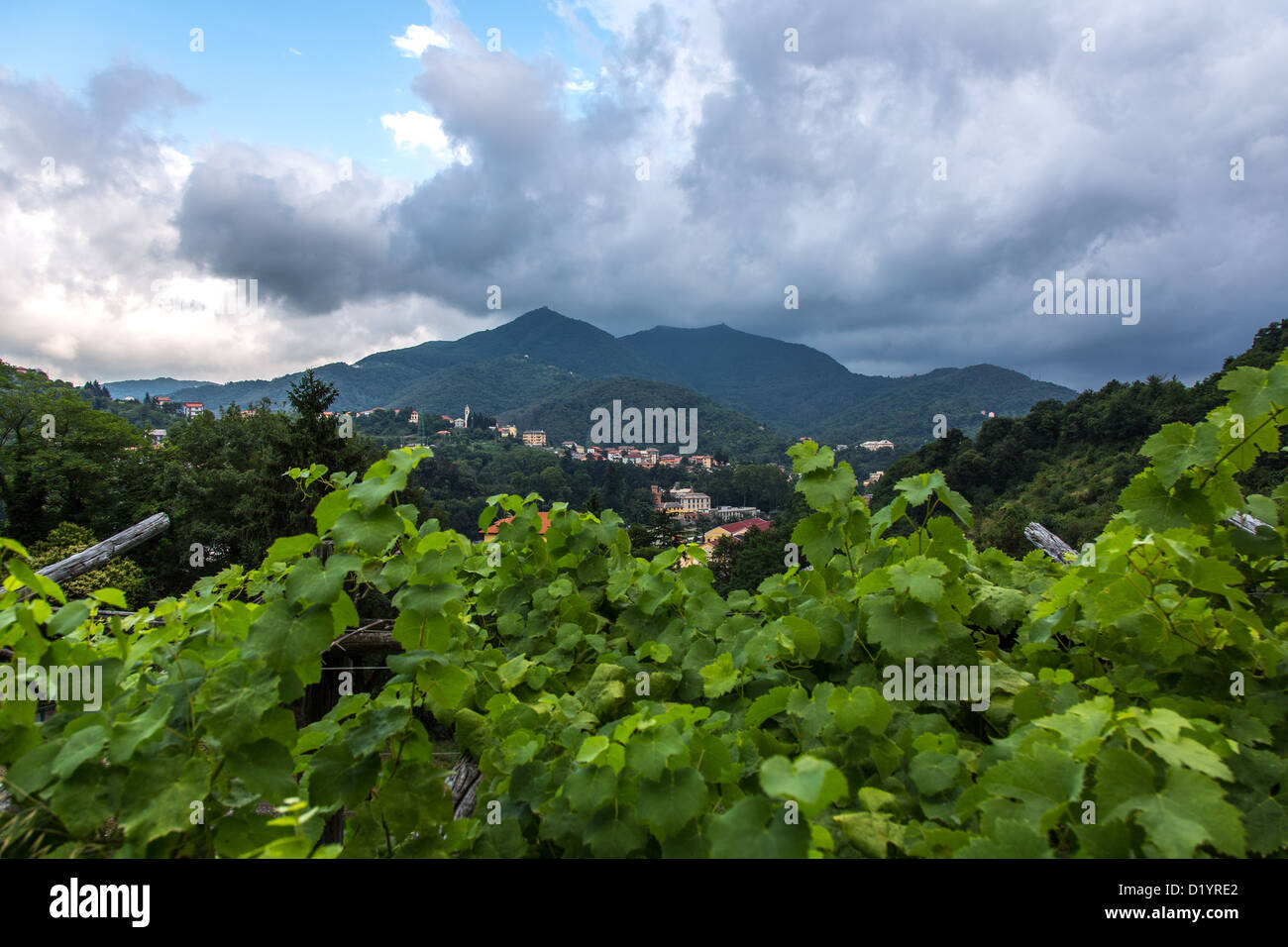 Serra ricco hi-res stock photography and images - Alamy